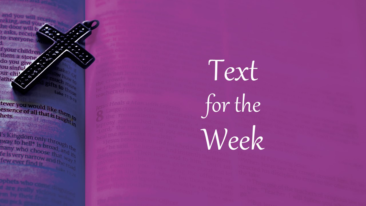 Text for the Week: The Light that Guides – Squinting in the Light